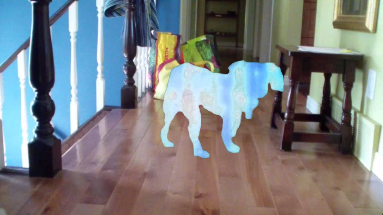Teleporting dog (test) - YouTube