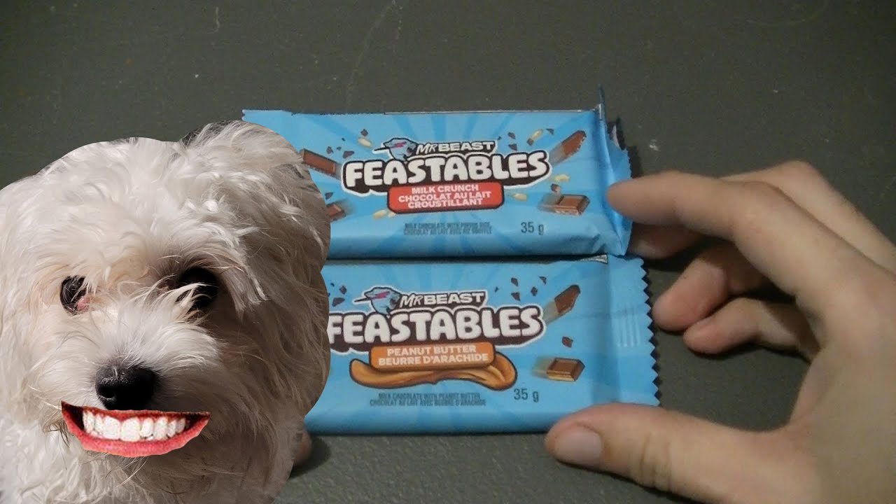 Sunday Gimmick Table #31 - MrBeast Feastables Chocolate Bars - YouTube