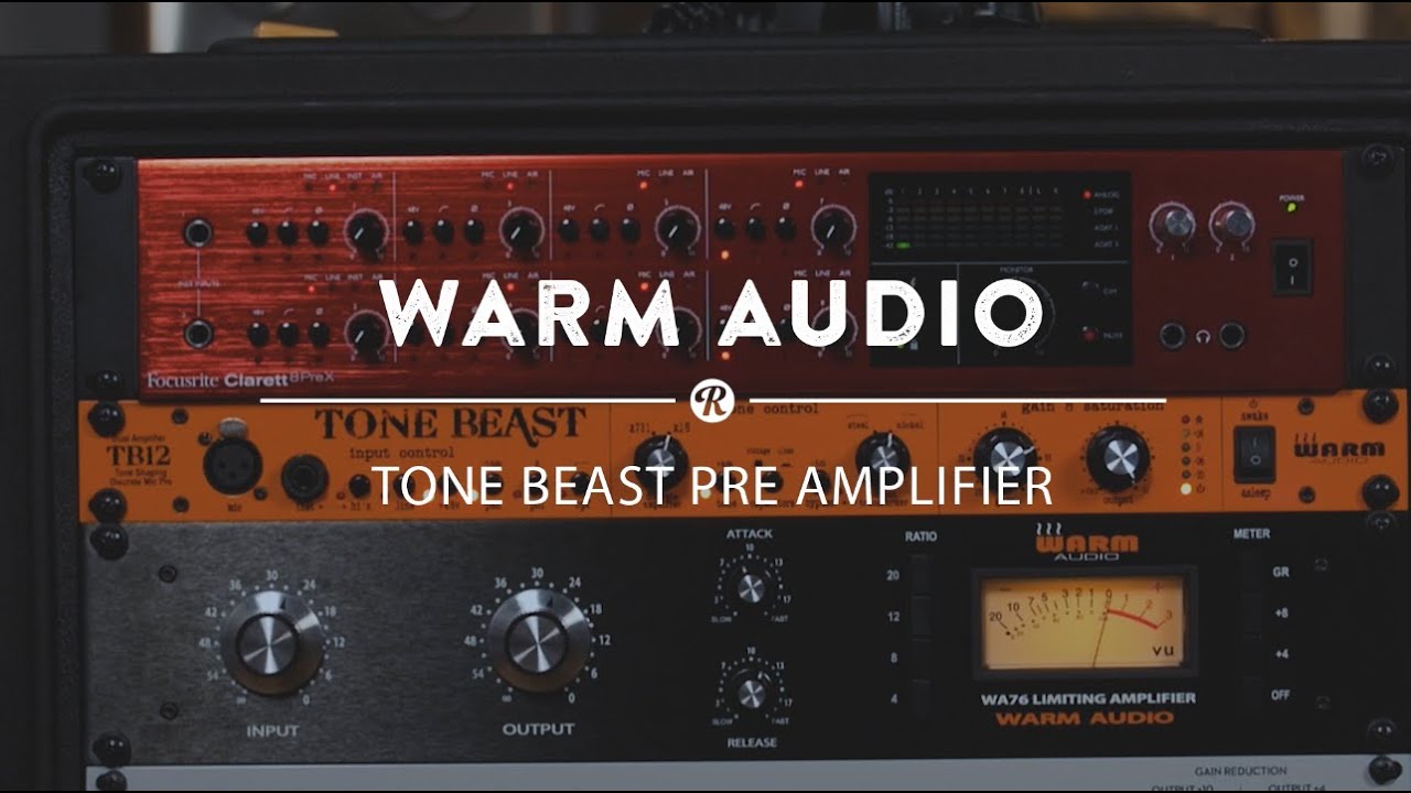 Warm Audio TB12 Tone Beast Dual Amp Mic Preamp | Reverb Gear Demo - YouTube
