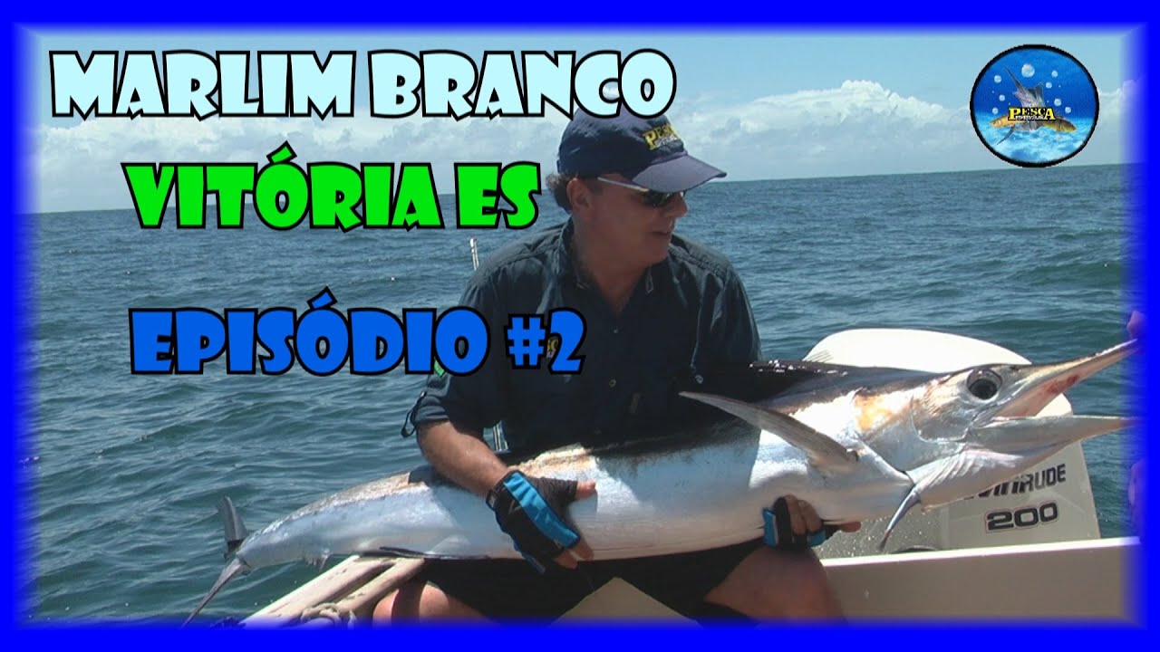 Pesca Espetacular - Pescaria Marlim Branco Vitória ES Parte II #2 - YouTube