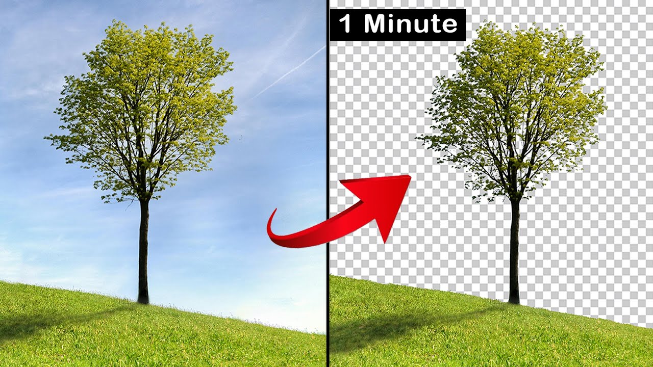 How to Remove a Difficult Tree Background in Photoshop - 1 Minute ...