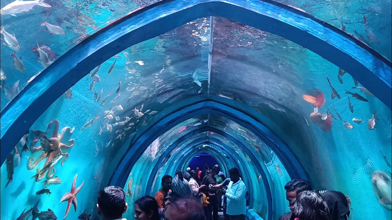Aqua Tunnel Bangalore / Fish Tunnel Benguluru - YouTube