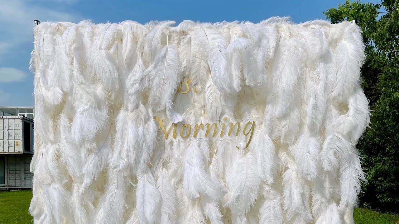Roll-up feather wall | event/party/wedding decoration | how our feather ...