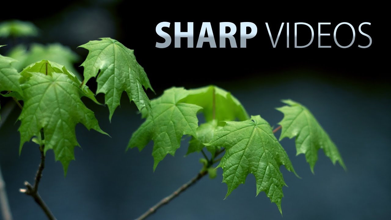 How to get sharp & detailed videos! DSLR video tutorial - YouTube