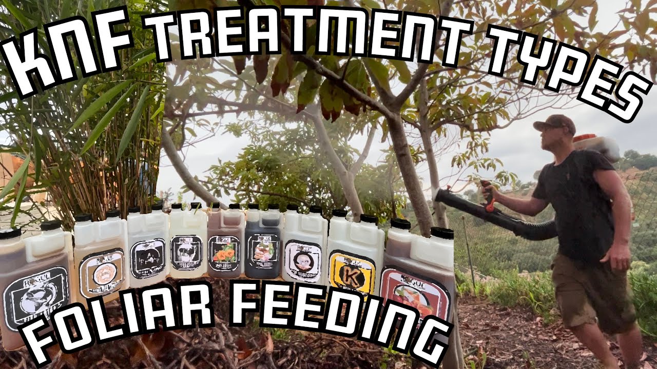 KNF Treatment Types/Foliar Feeding. Natural Farming. #naturalfarming # ...