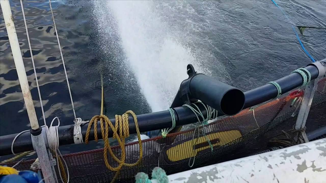 Multi Pump Innovation RONC 9 In Action - YouTube