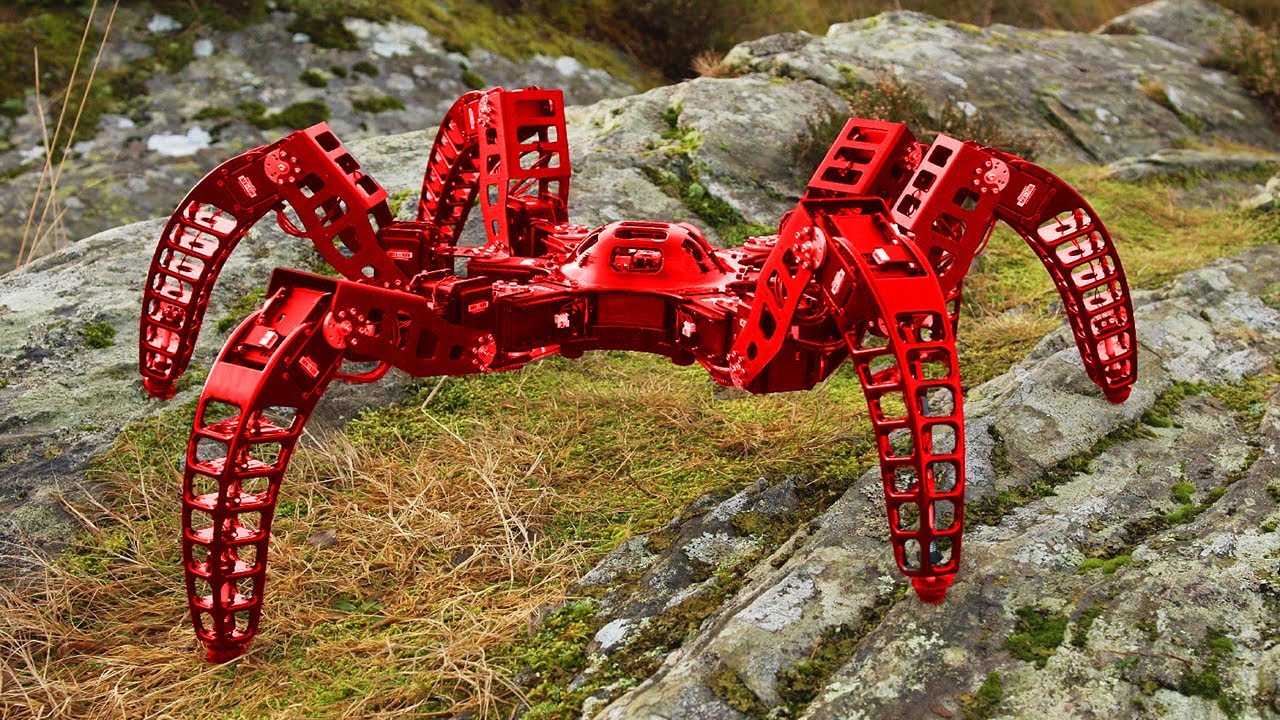 AMAZING ROBOTIC ANIMALS YOU MUST SEE - YouTube