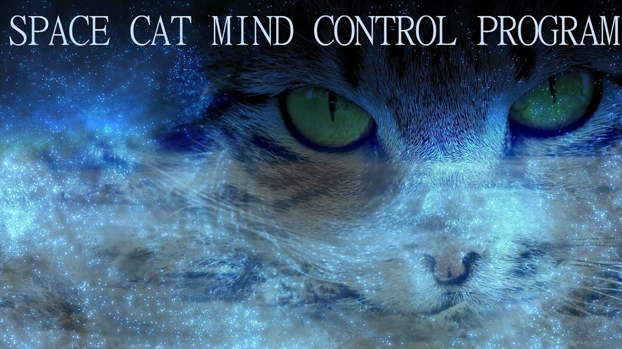 Space Cat Mind Control Program - YouTube
