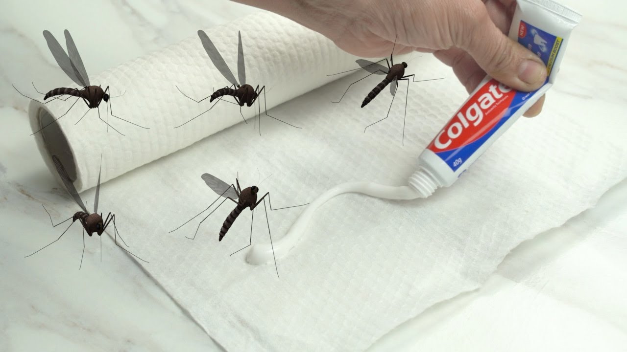 Say Goodbye to Mosquitoes and Flies with This 1-Minute Hack! 🦟 - YouTube