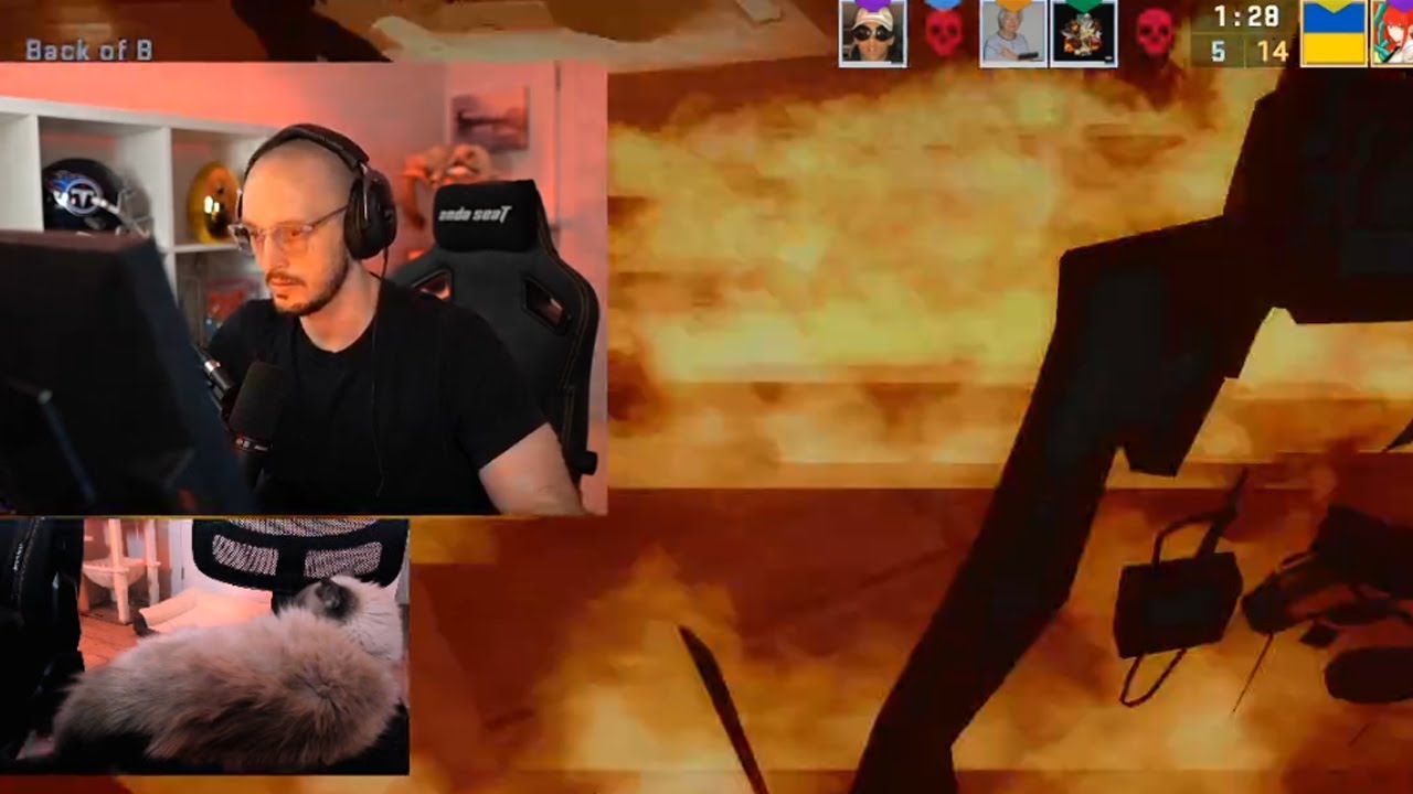 his cat got him REKT 💀 - YouTube