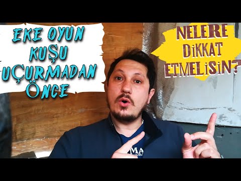 EKE OYUN KUŞU UÇURMADAN ÖNCE NELERE DİKKAT ETMELİSİN? |SEFERLİ GÜVERCİN|