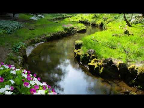 Bahar Geldi🌞🌸🌞@EMollov 