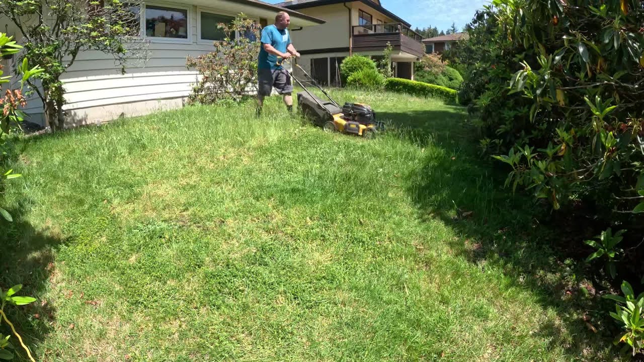 Doing some yard clean up and mowing the lawn. - YouTube