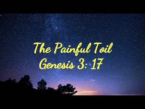 The Painful Toil Genesis 3:17