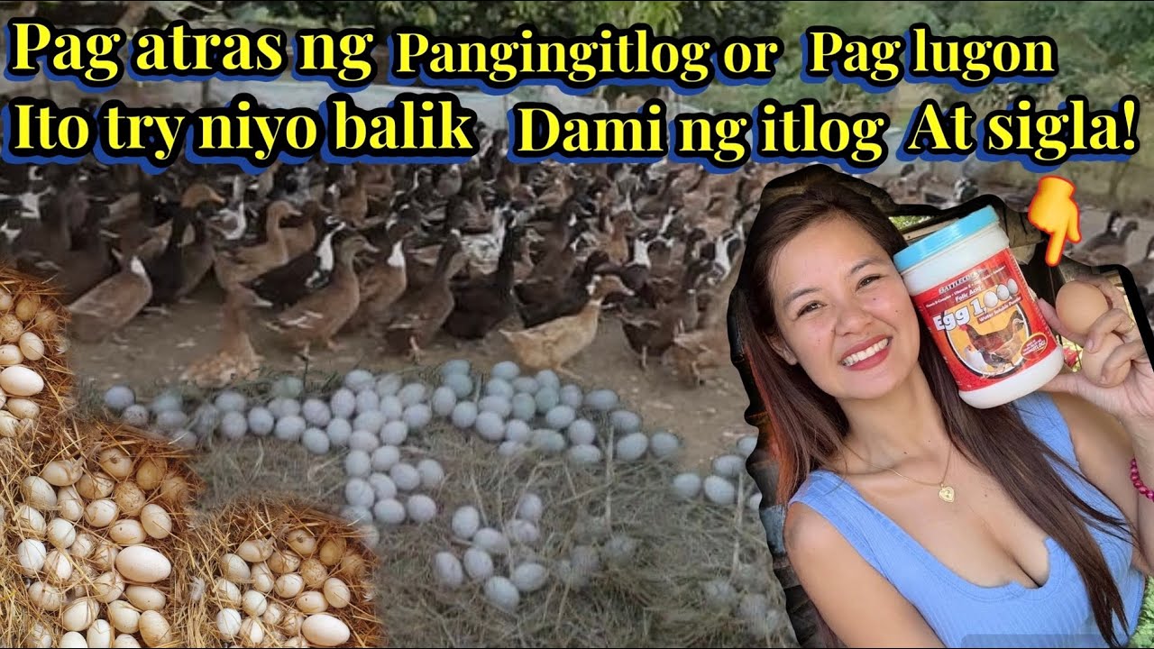 PAG ATRAS ng PANGINGITLOG or PAGLUGON TRY NIYO ITO PARA BALIK DAMI NG ...