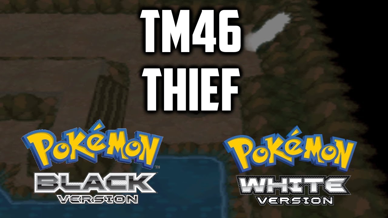 Where to Find TM46 Thief - Pokemon Black & White - YouTube
