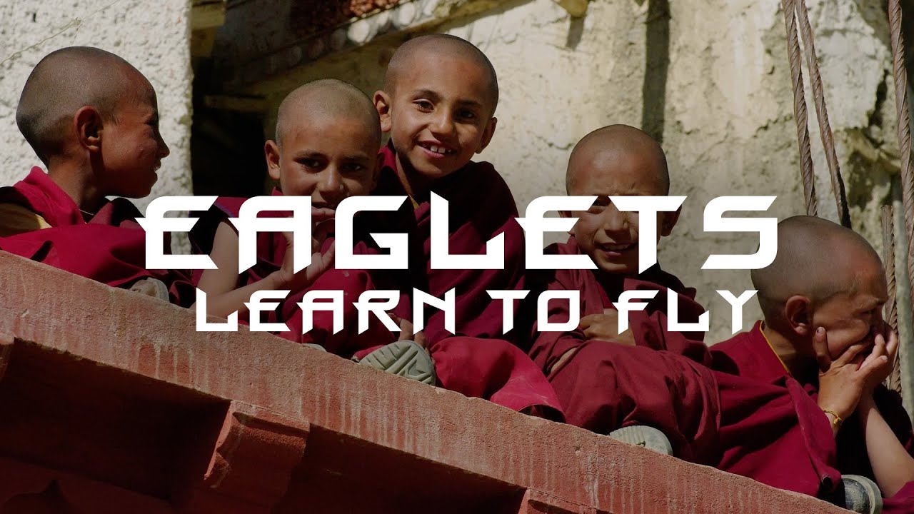Орлята учатся летать / Eaglets learn to fly - YouTube