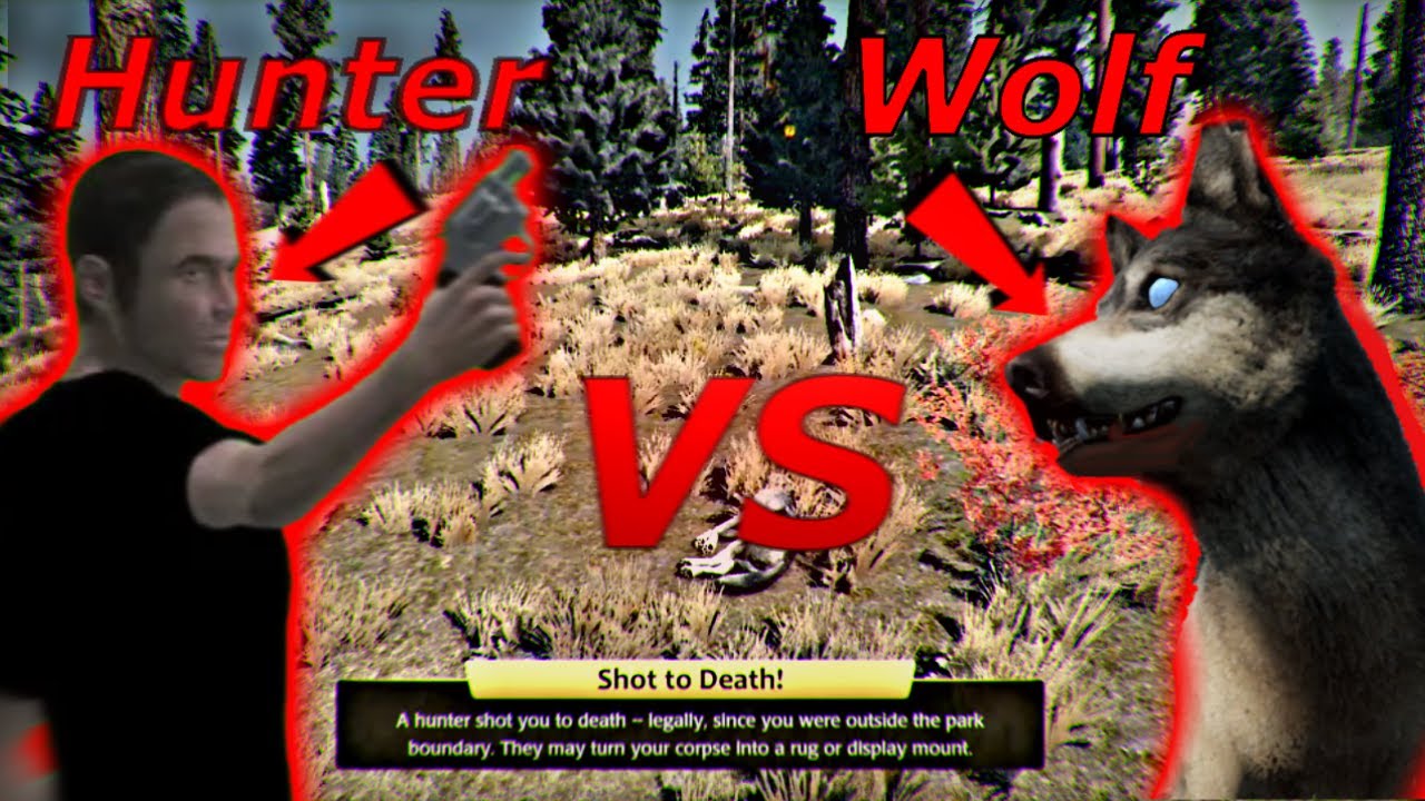 The Cattle Ranch or The Hunters camp WolfQuest ? - YouTube