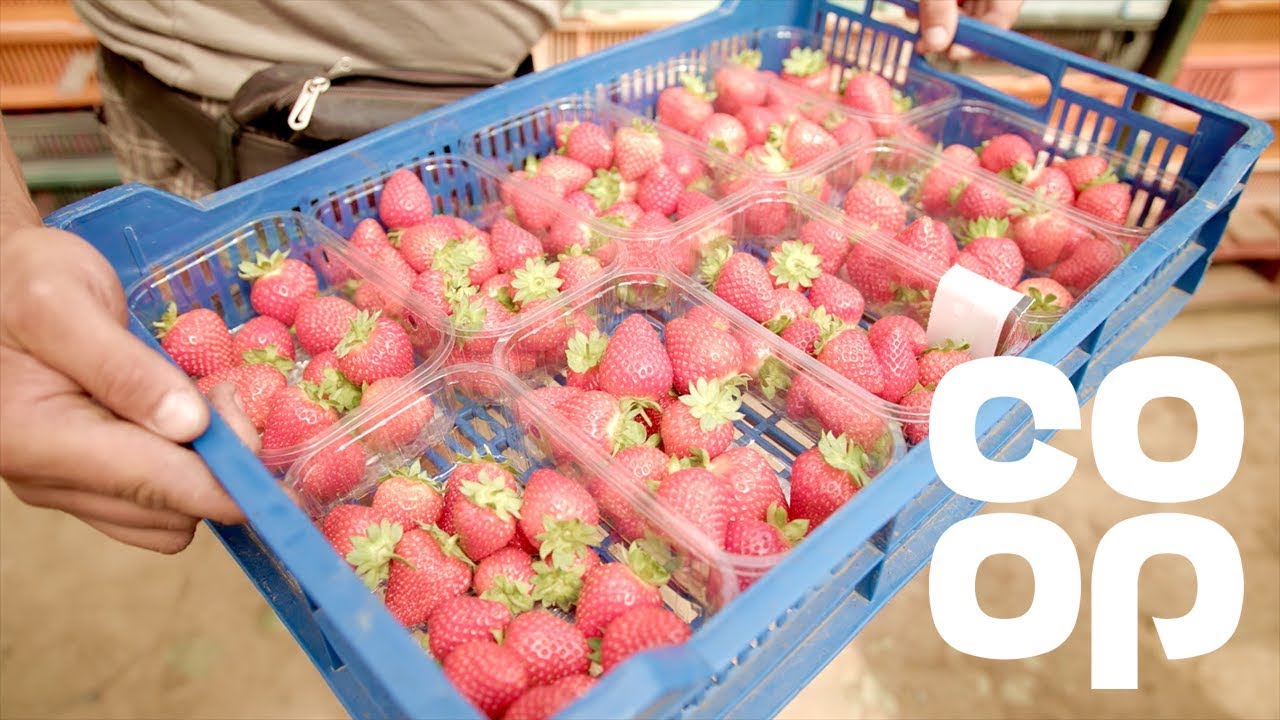 Co-op | Meet the Producer – British Strawberries - YouTube