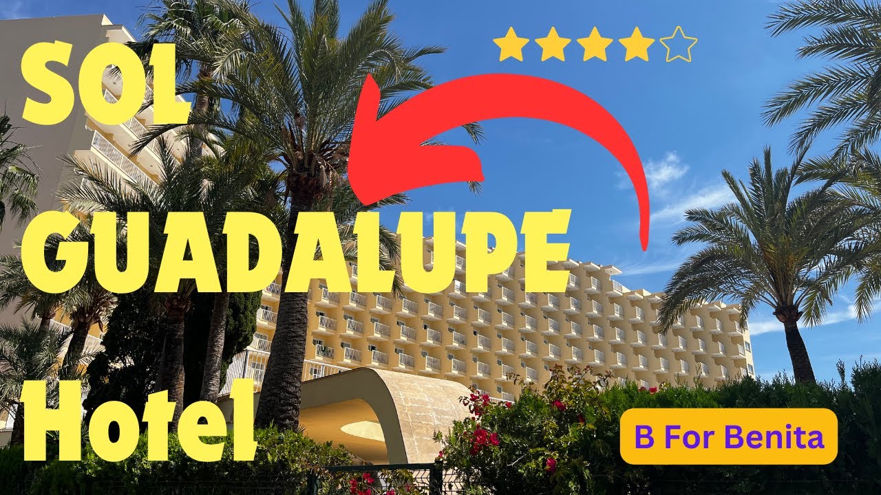 Sol Guadalupe Hotel: Perfect Magaluf Mallorca Getaway! #Mallorca # ...