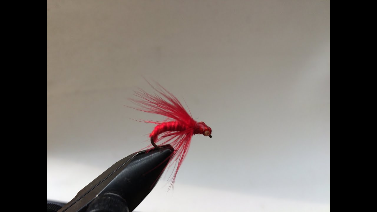 How to Fly Tying Red woolly Bugger - Cách Buộc Con Bọ Len Đỏ - YouTube