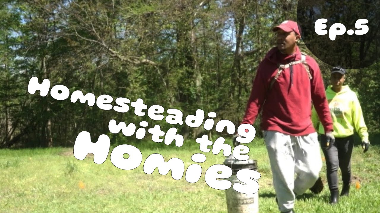 Homesteading with the Homies | S1, E5 - YouTube