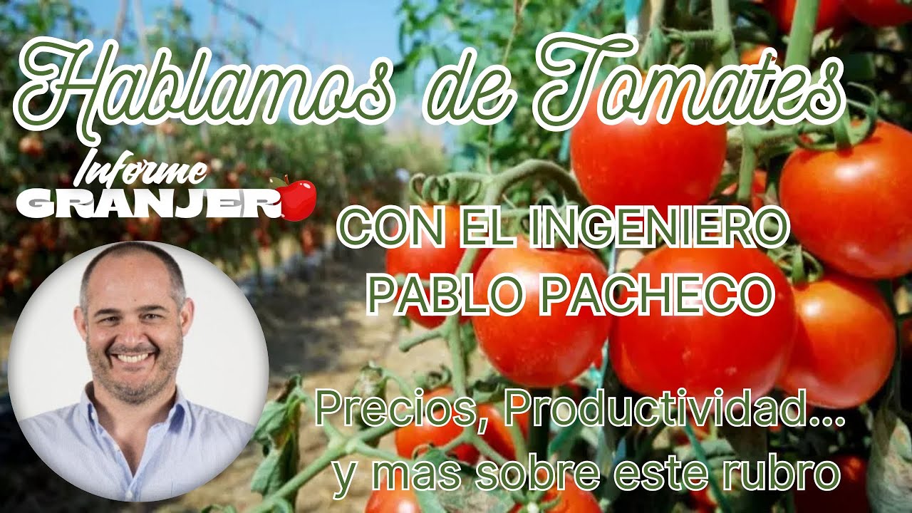 Hoy hablamos de Tomates con el Ing Agr Pablo Pacheco de la #UAM Martes ...