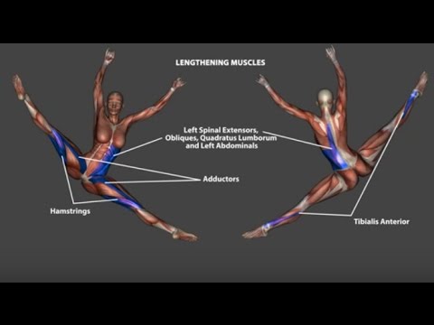 Renverse Tilt Jump Ronverse Dance Ballet Anatomy Kinesiology - YouTube