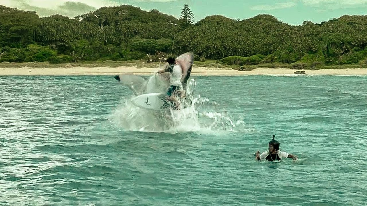 Woman Stranded at Sea for 2 Days With Shark Chasing Her and Anyone Who ...