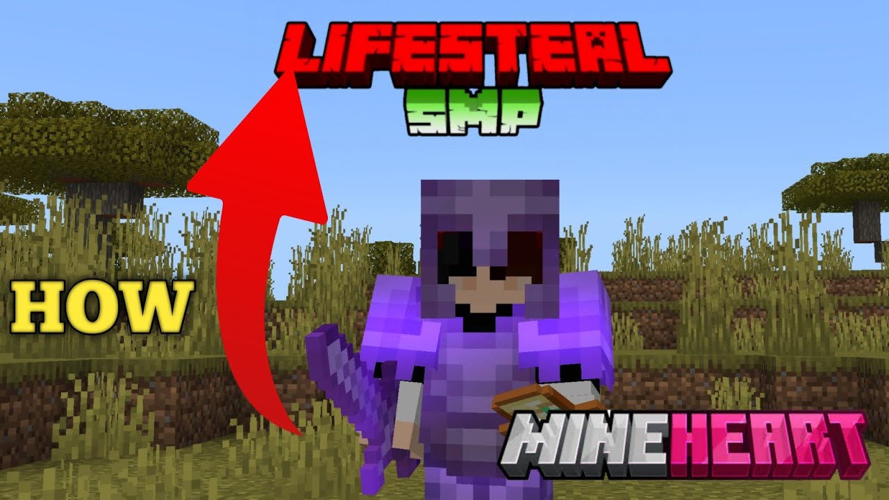 I Joined A New Public Lifesteal Smp "mineheart" - It's The BEST ...