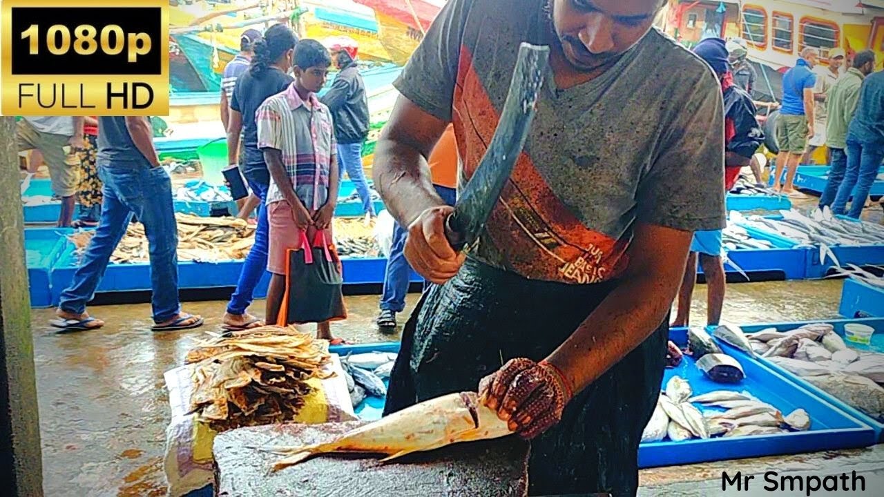 YELLOW SMALL TREVALLY FISH CUTTING | FISH CUTTING SKILLS ...