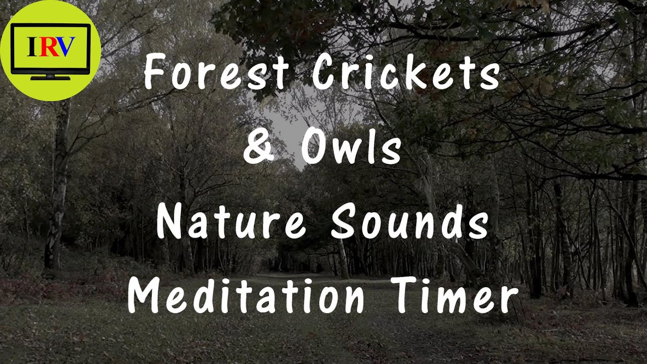 Forest Crickets & Owls 60 Minutes Relaxation Meditation Timer With 5 ...