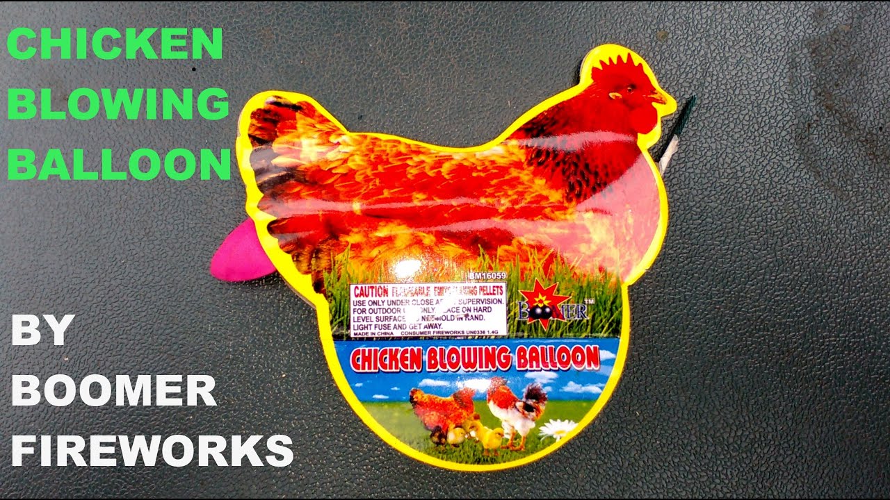 Chicken Blowing Balloon by Boomer Fireworks - YouTube
