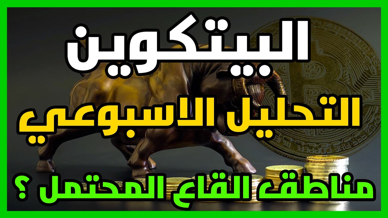 اشارة اسبوعية هامة توضح قوة البائع والمشتري على البيتكوين ومناطق القاع المحتمل ؟؟ Youtube