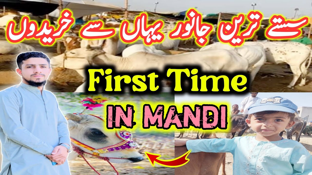 Huzail pehli dafa Mandi gaya 😍 Qurbani janwar mandi | maweshi mandi ...
