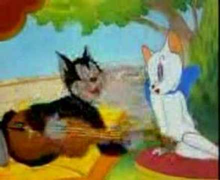 Romantik Kedi