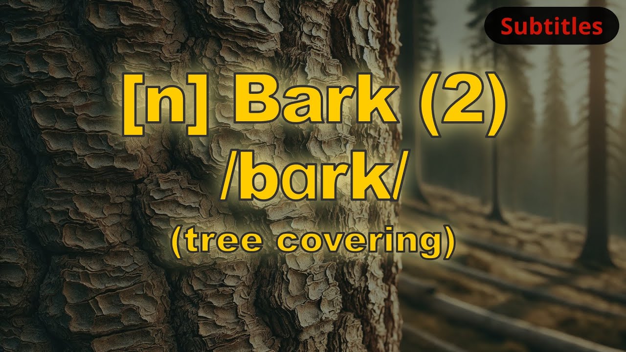 [n] Bark meaning (tree covering) with 5 examples - YouTube