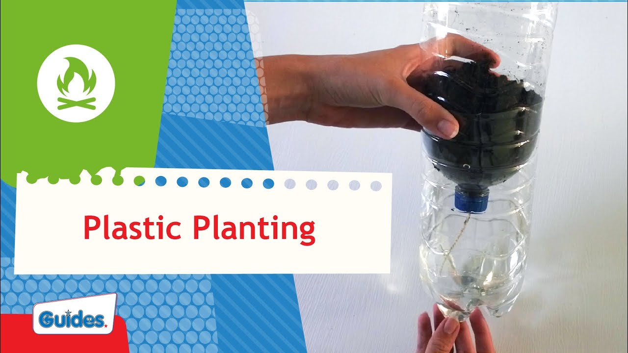 Plastic planting – Exploring nature | #AdventuresAtHome | #Guides | # ...