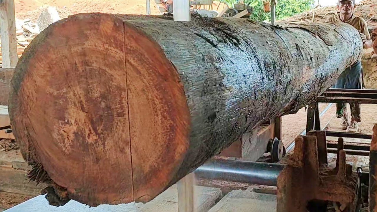 kayu keruing vs kayu bengkirai di gergaji buat bahan balok dan lain ...