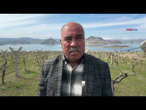 Üzüm Üreticisi Özgün Anlaş: Bir araya gelirsek sorunlarımızı çözeriz