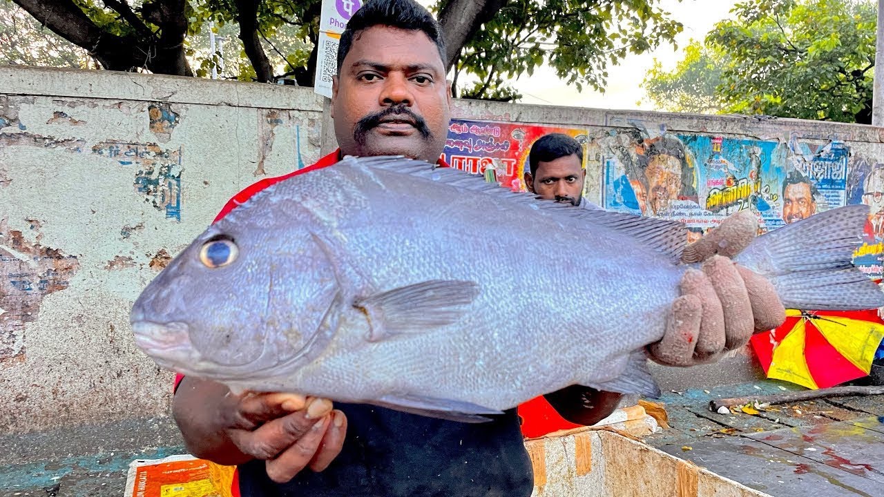 KASIMEDU SPEED SELVAM OTHADI FISH CUTTING 💥 IN KASIMEDU FISH CUTTING 💥 ...