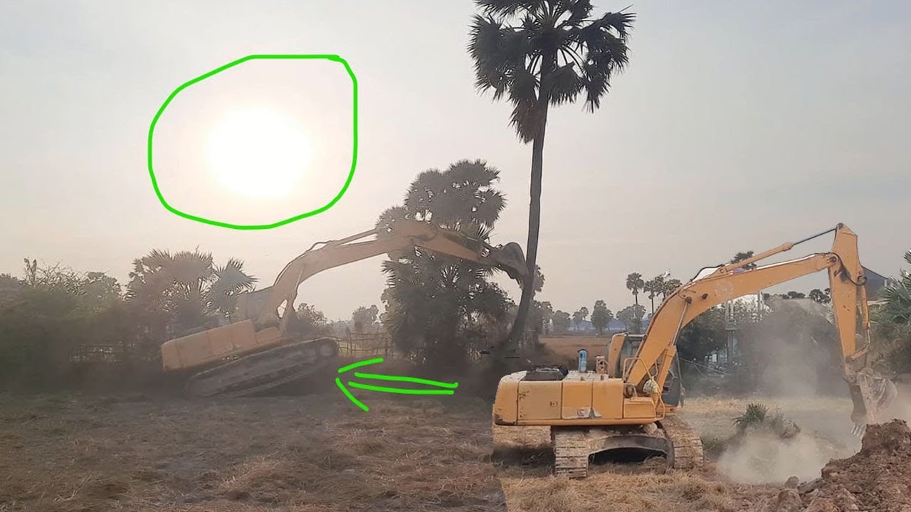 Excavator Pushing The Palm Tree !! Canal Construction - YouTube