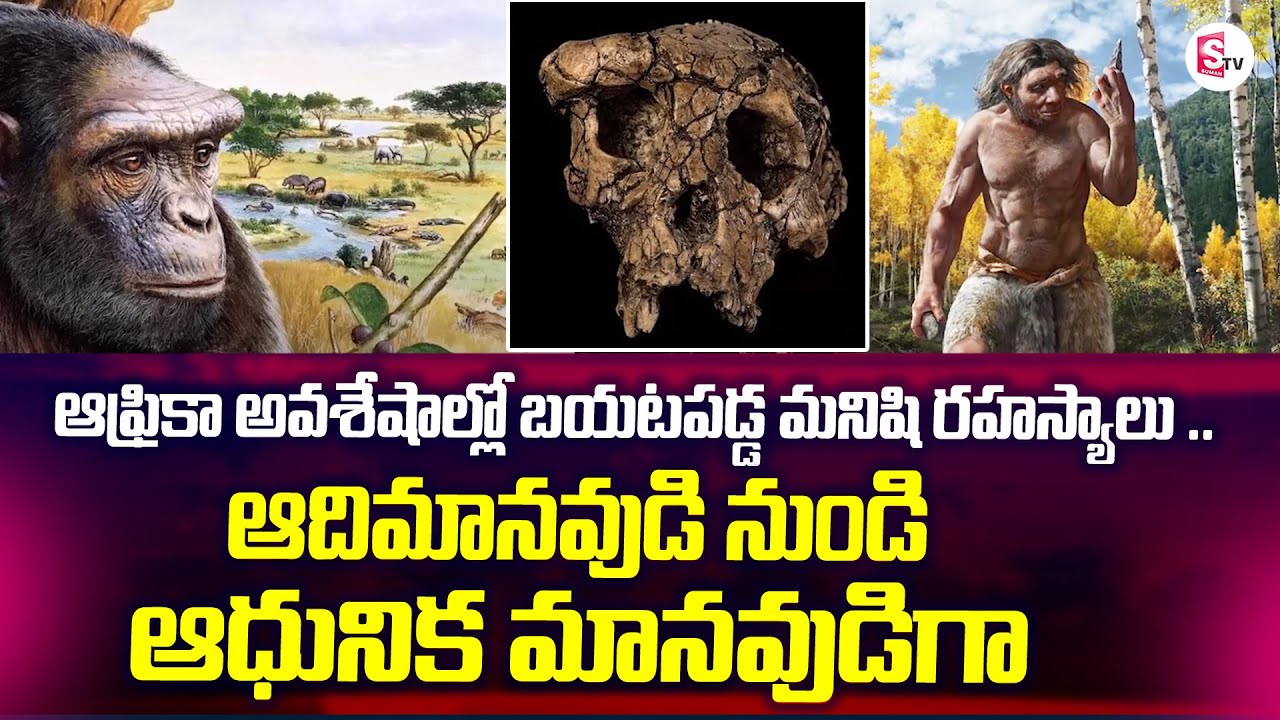 Unknown Facts About The First Humans | Latest Real Facts About Human ...