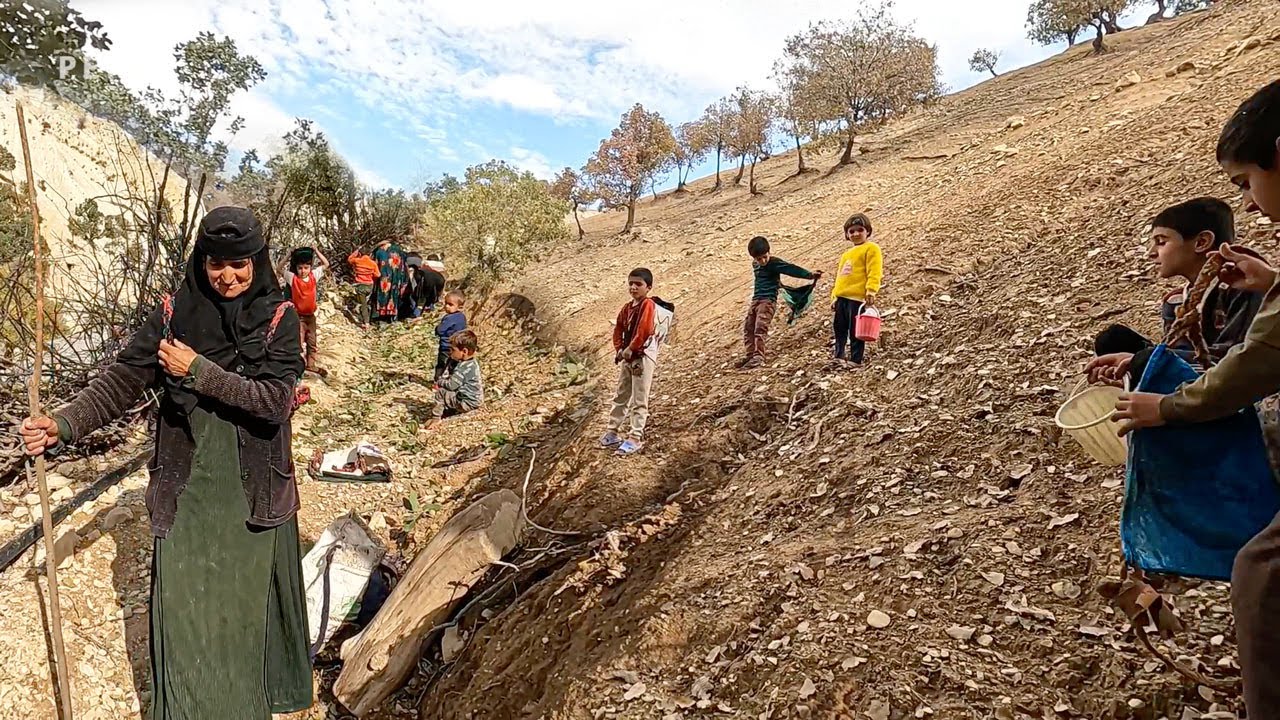 Gathering Acorns Around the Village _ Villagers in Iran (2022) - YouTube