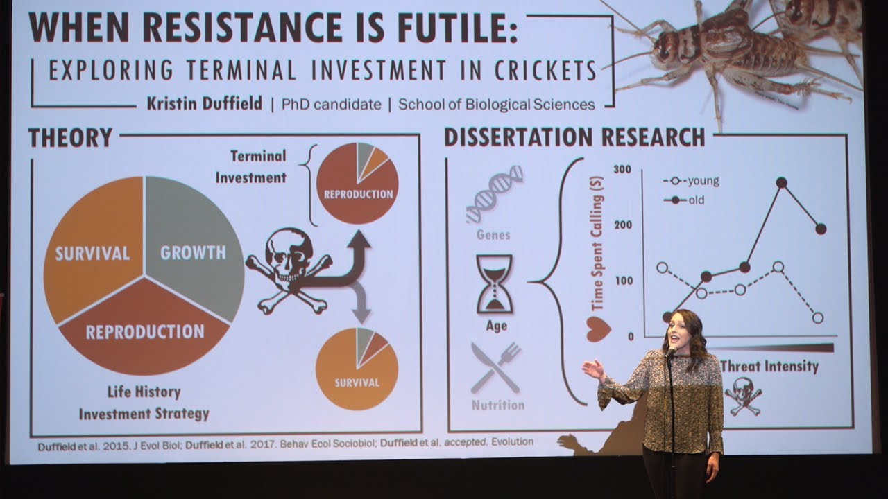 Presentation Article Journal Charlie