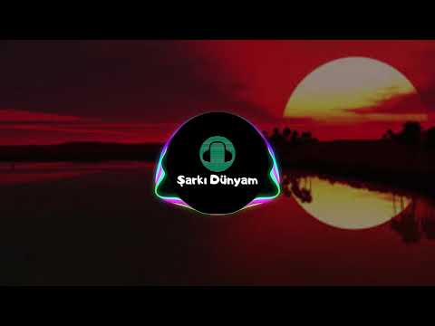 NİHAT HANOĞLU-SARHOŞ DÜNYA