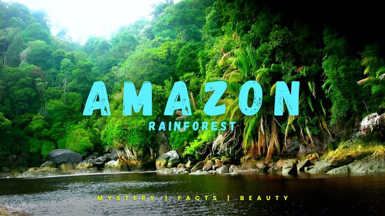 The Mighty Amazon Rainforest | Its beauty, mystery and facts | Hindi ...