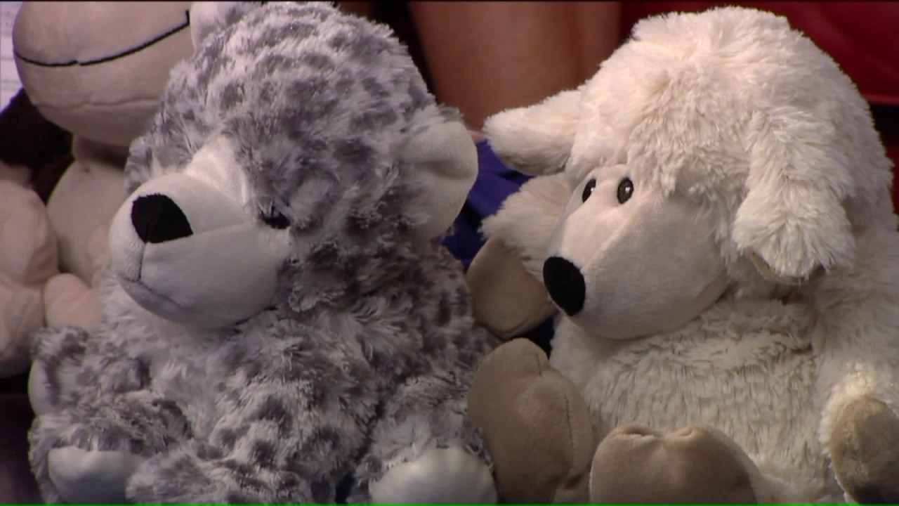 Comfort Buddies, Hospice of the Western Reserve - YouTube