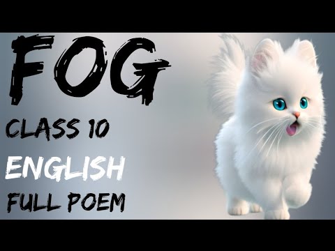 Fog | Class 10 English | Full Chapter Explanation @erossenglish - YouTube