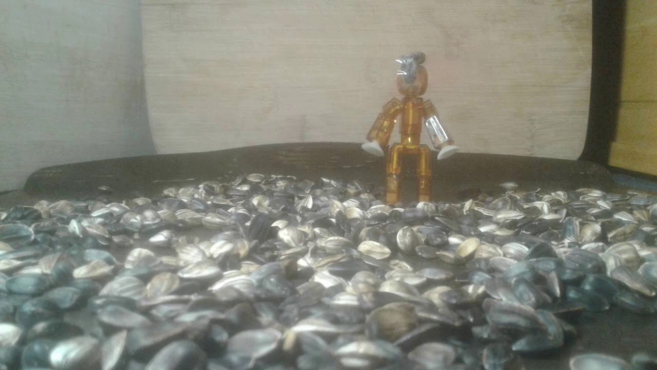 Sunflower Seed Man - YouTube